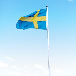 La Embajada de Suecia te invita a hacerte el sueco :: TECNONEWS